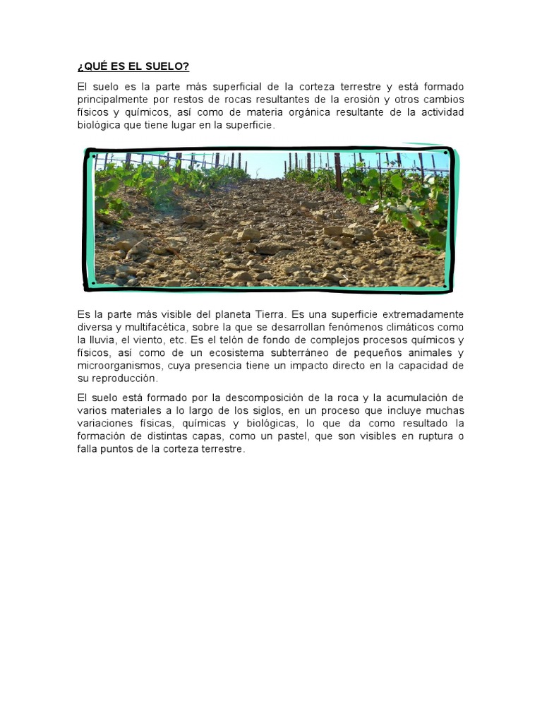 Características y funciones del suelo | PDF | Suelo | Sólido