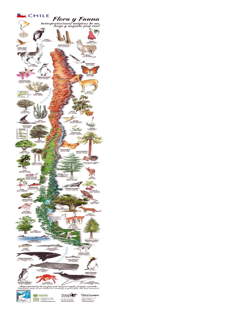 Mapa de Flora y Fauna de Chile | PDF