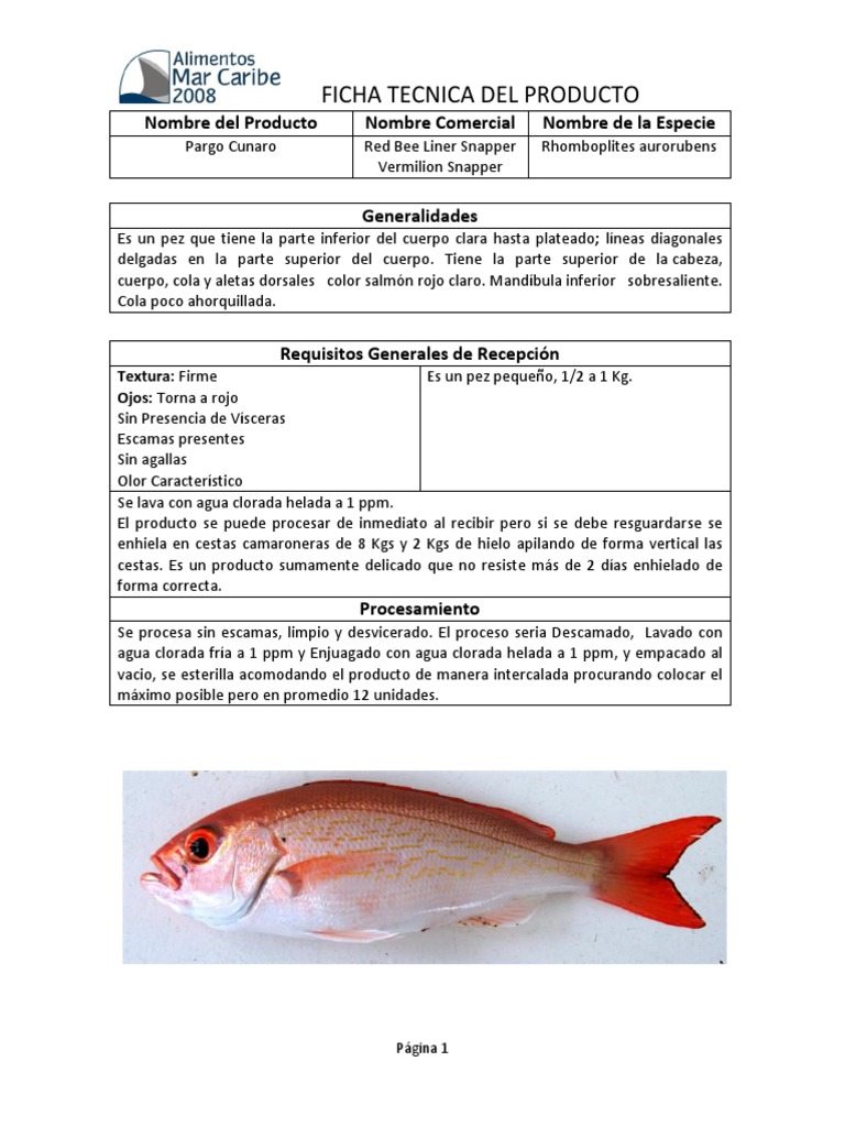 Ficha Técnica Pargo Cunaro | PDF