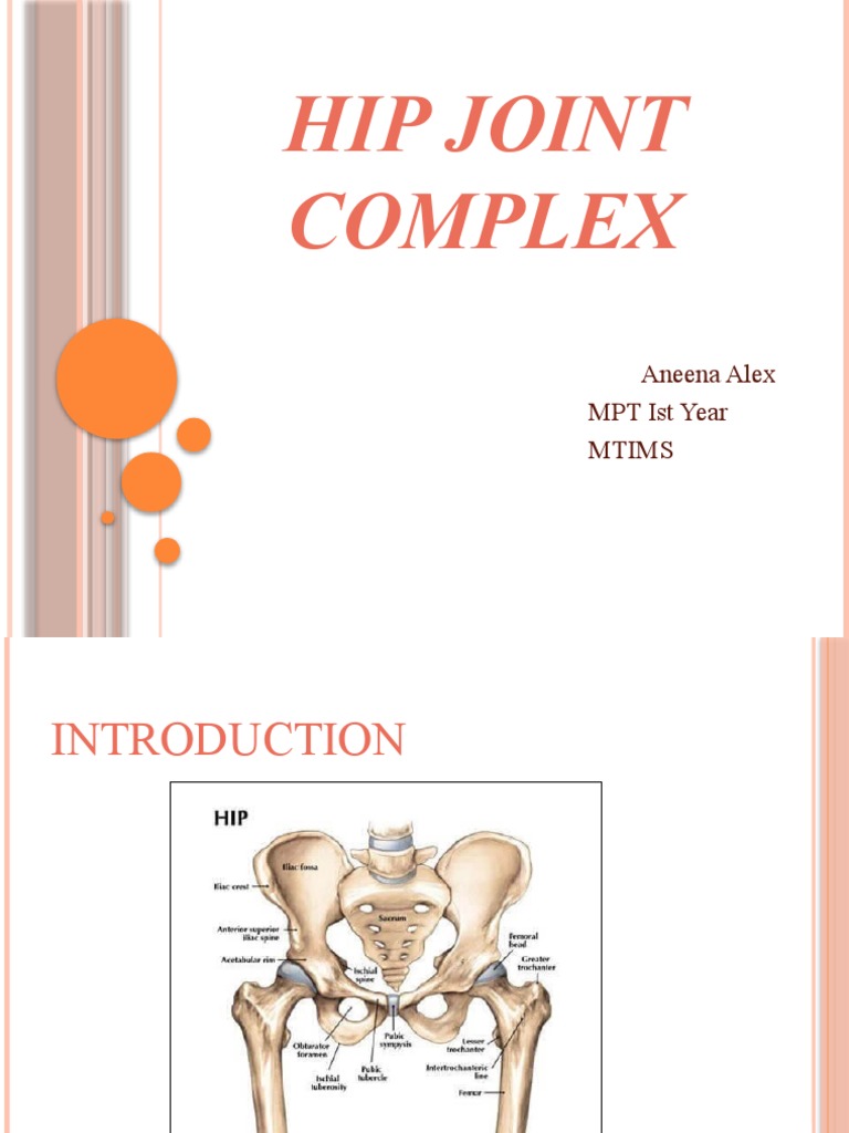 Hip Joint Complex | PDF | Pelvis | Hip