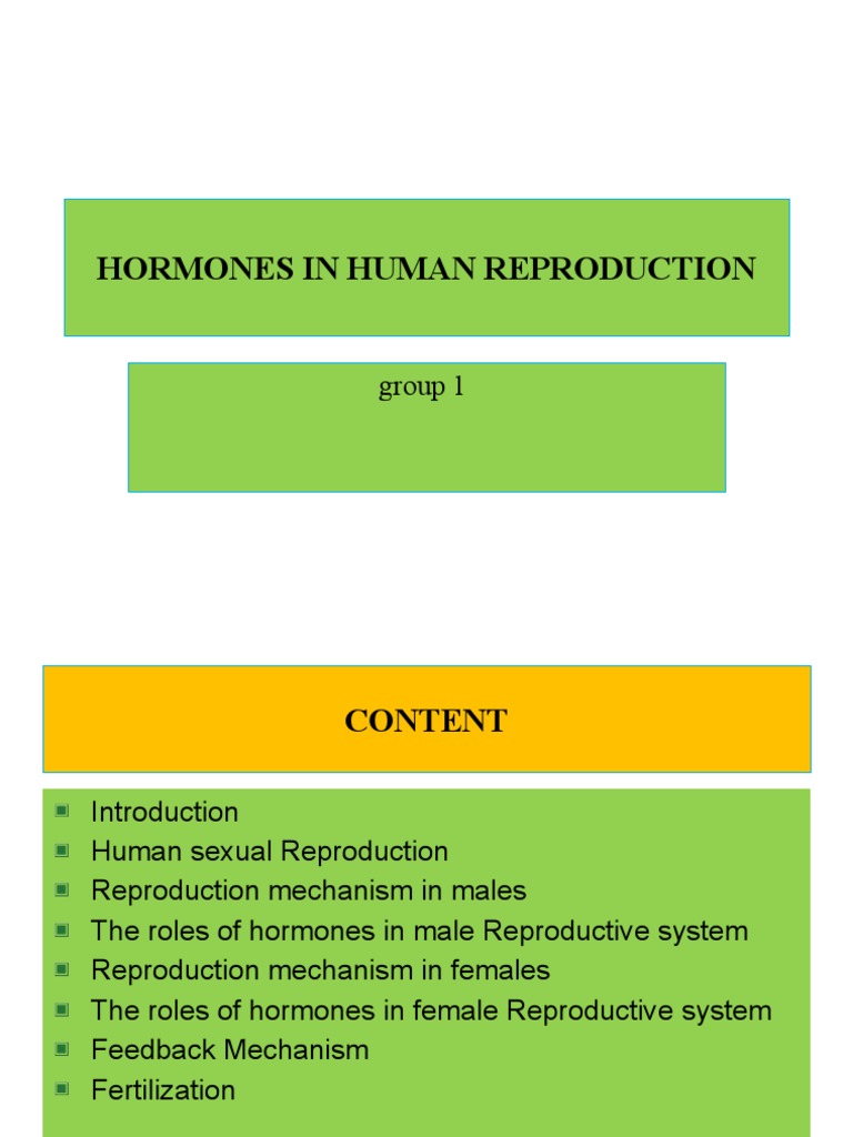 Hormones in Human Reproduction: Group 1 | PDF | Luteinizing Hormone ...