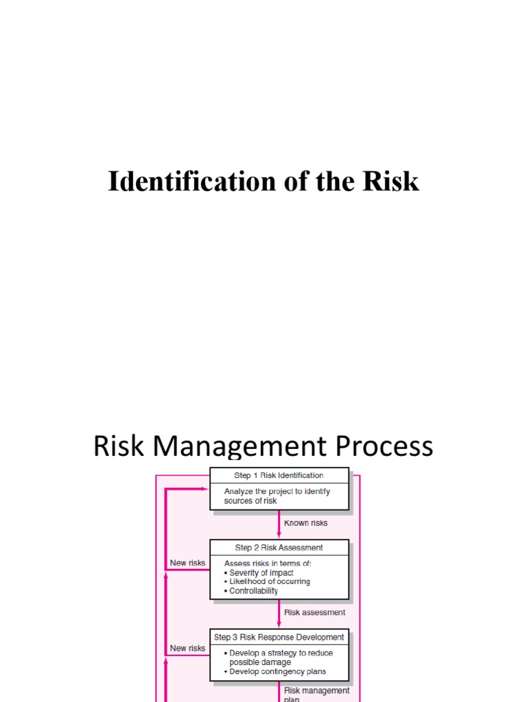 Risk Identification 2021 | PDF | Risk | Causality