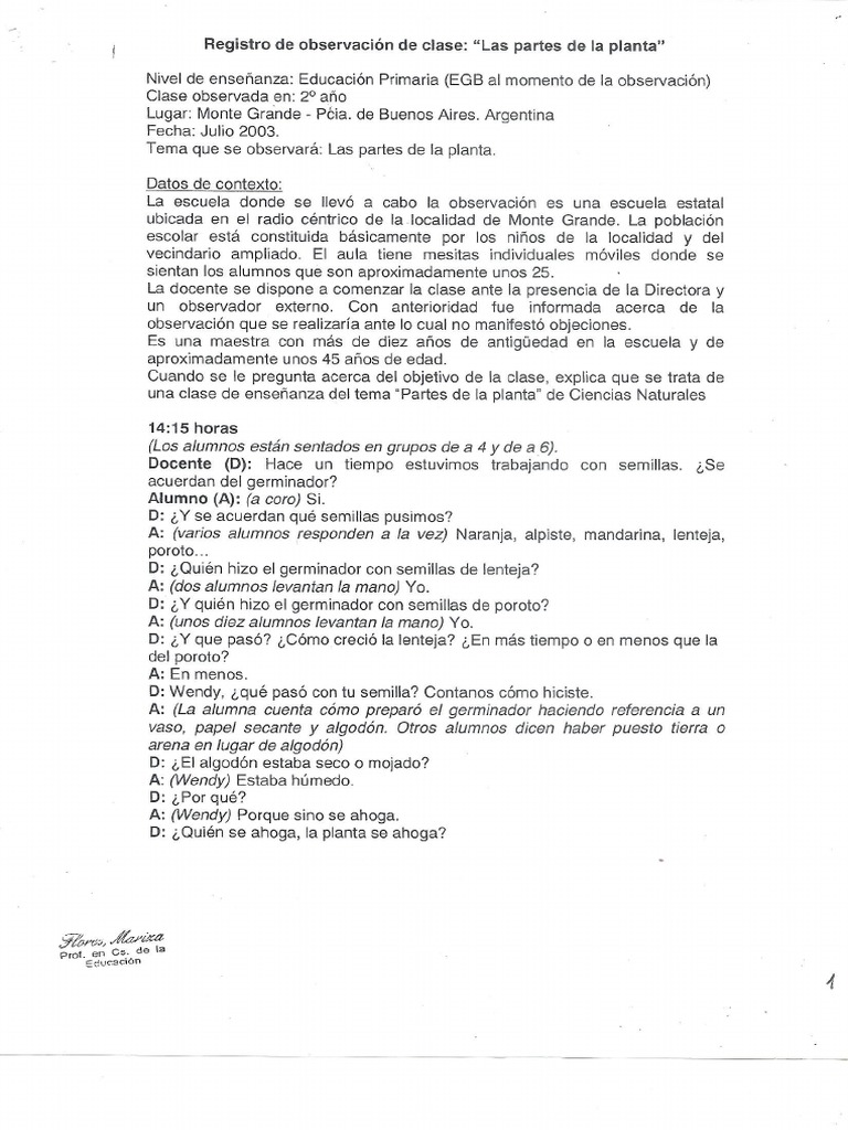 Registro de Observacion de Clase | PDF