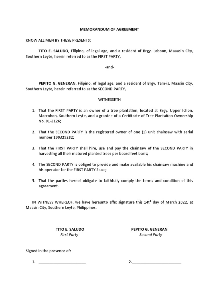 Memorandum of Agreement: First Party Second Party | PDF