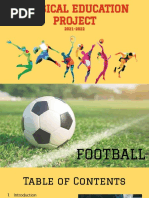 Physical Education Project On Cricket | PDF | Bowling (Cricket) | Cricket