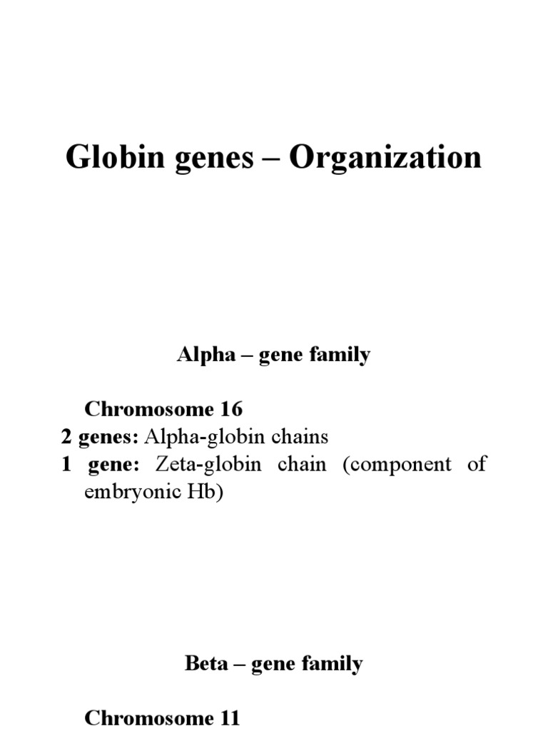 Organization of Globin Gene Families | PDF | Gene | Molecular Genetics