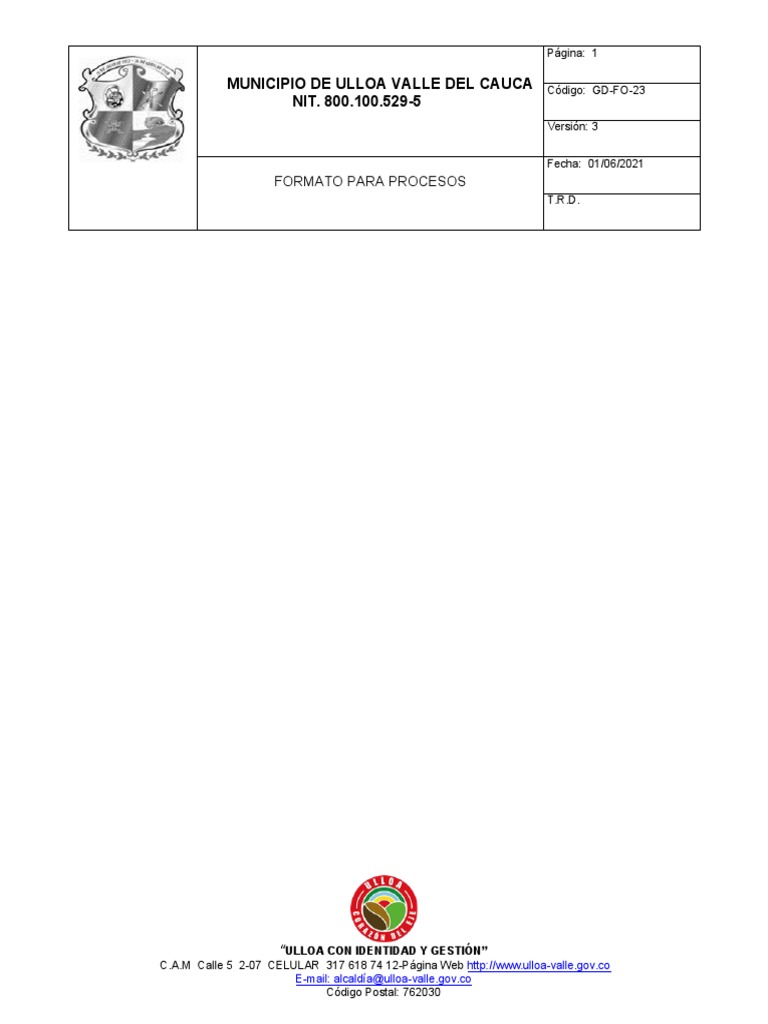 Formato para Procesos | PDF