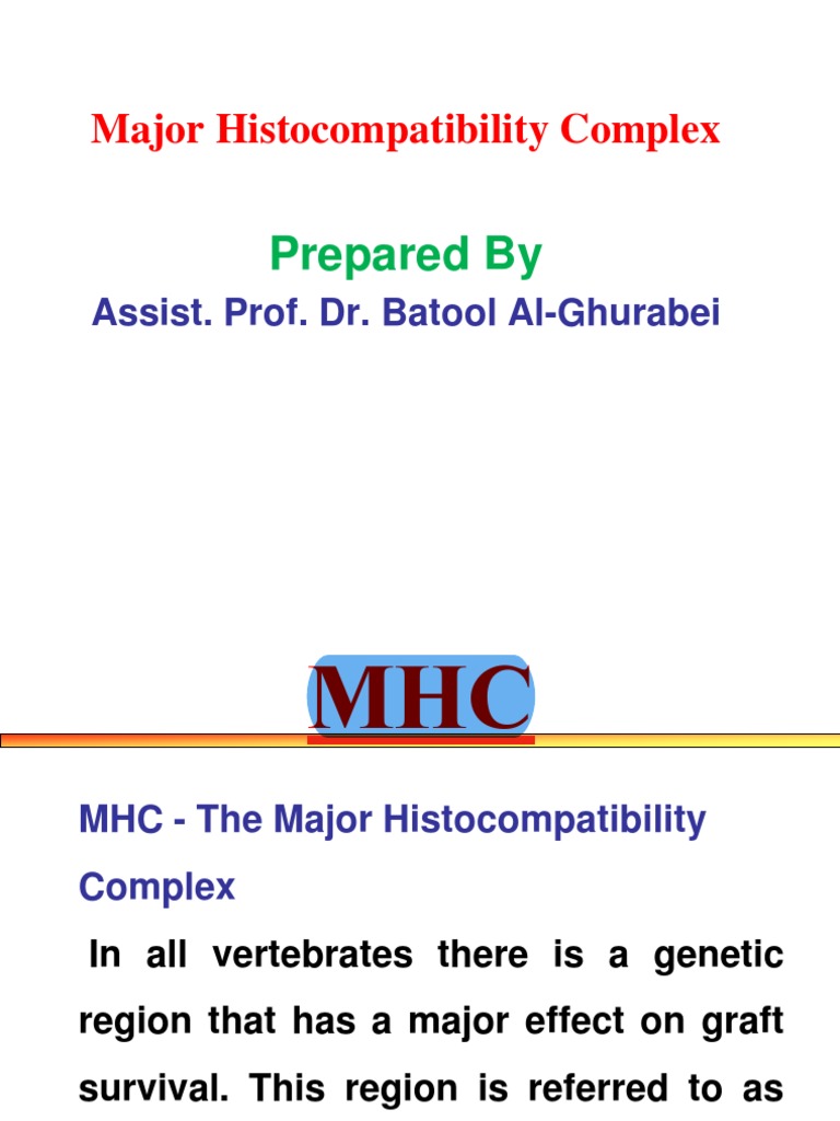 Major Histocompatibility Complex: Prepared by | PDF | Major ...