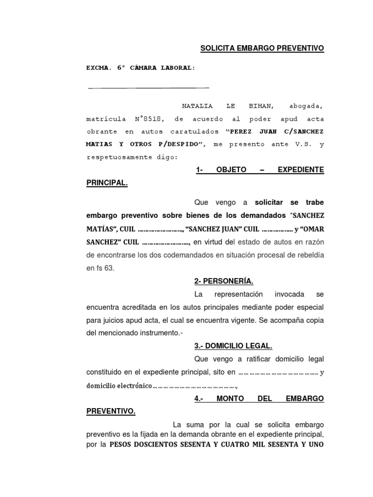 Modelo Solicitud de Embargo | PDF | Caso de ley | Ley procesal