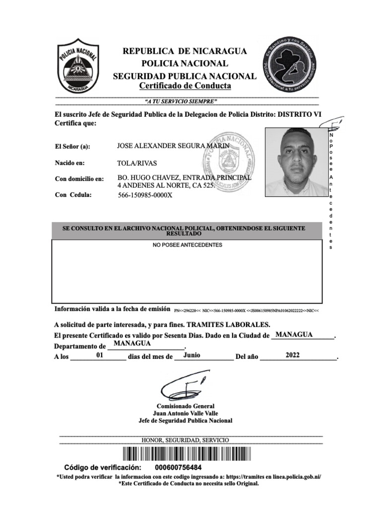 Record Policial | PDF | Crimen y violencia | Cumplimiento de la ley