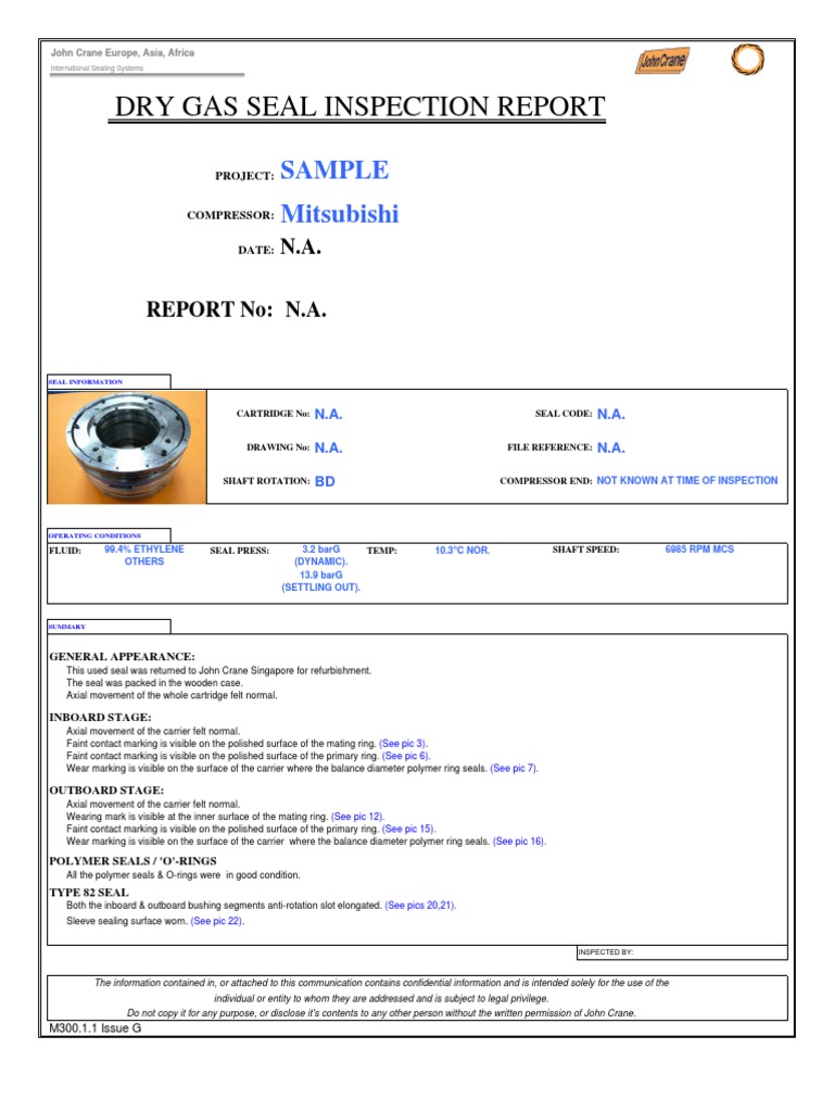 John Crane Dry Gas Seal Example Inspection Report | PDF | Gases | Chemistry