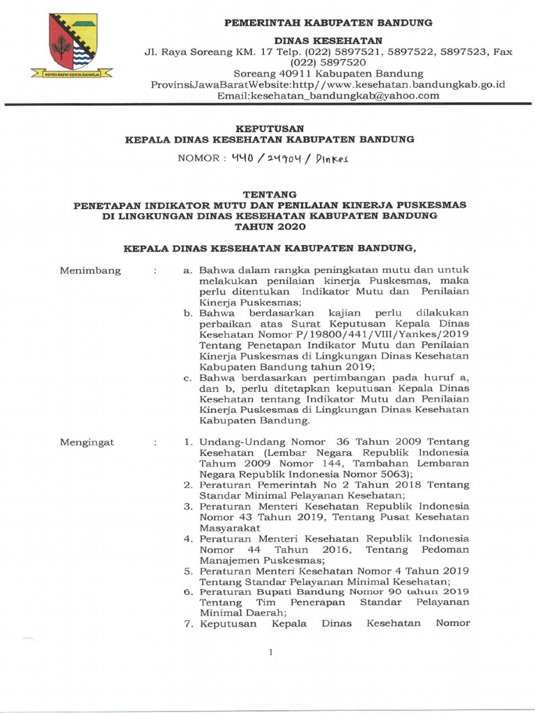 SK Kepala Dinas Kesehatan TTG Indikator Mutu Dan PKP 2020 | PDF