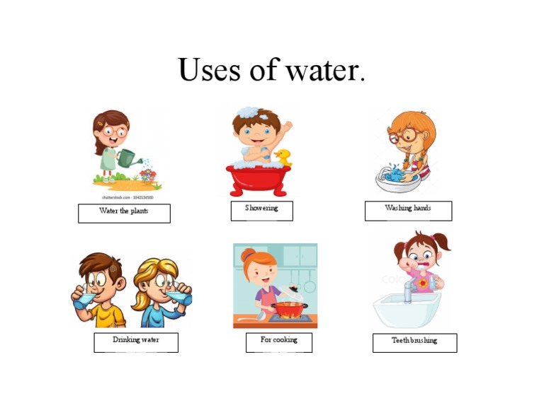 Uses of Water.: Water The Plants Showering Washing Hands | PDF ...