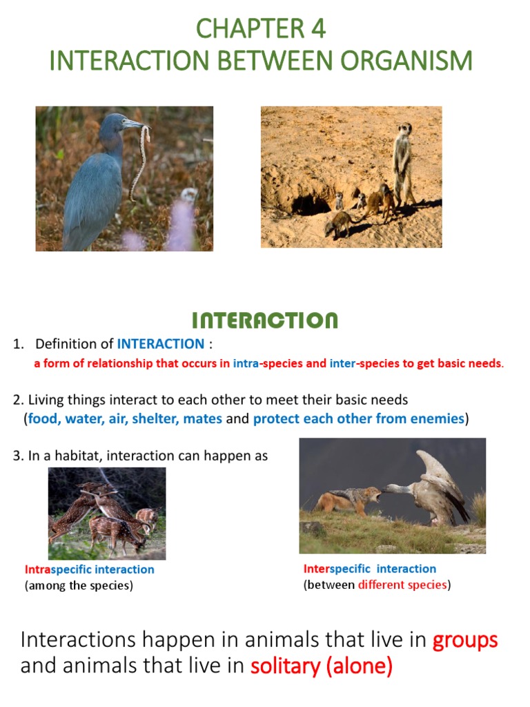 2o20 CHP 4 Interaction Between Organism | PDF | Symbiosis | Zoology