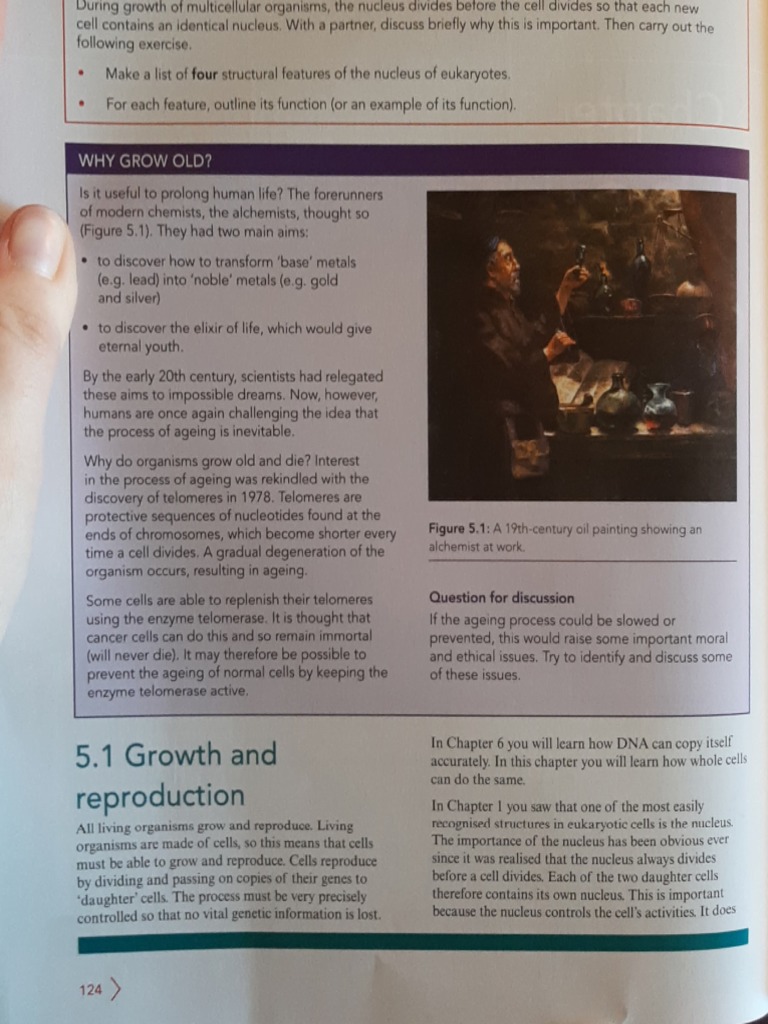 Unit 5 Biology - Cell Cycle | PDF | Mitosis | Chromosome