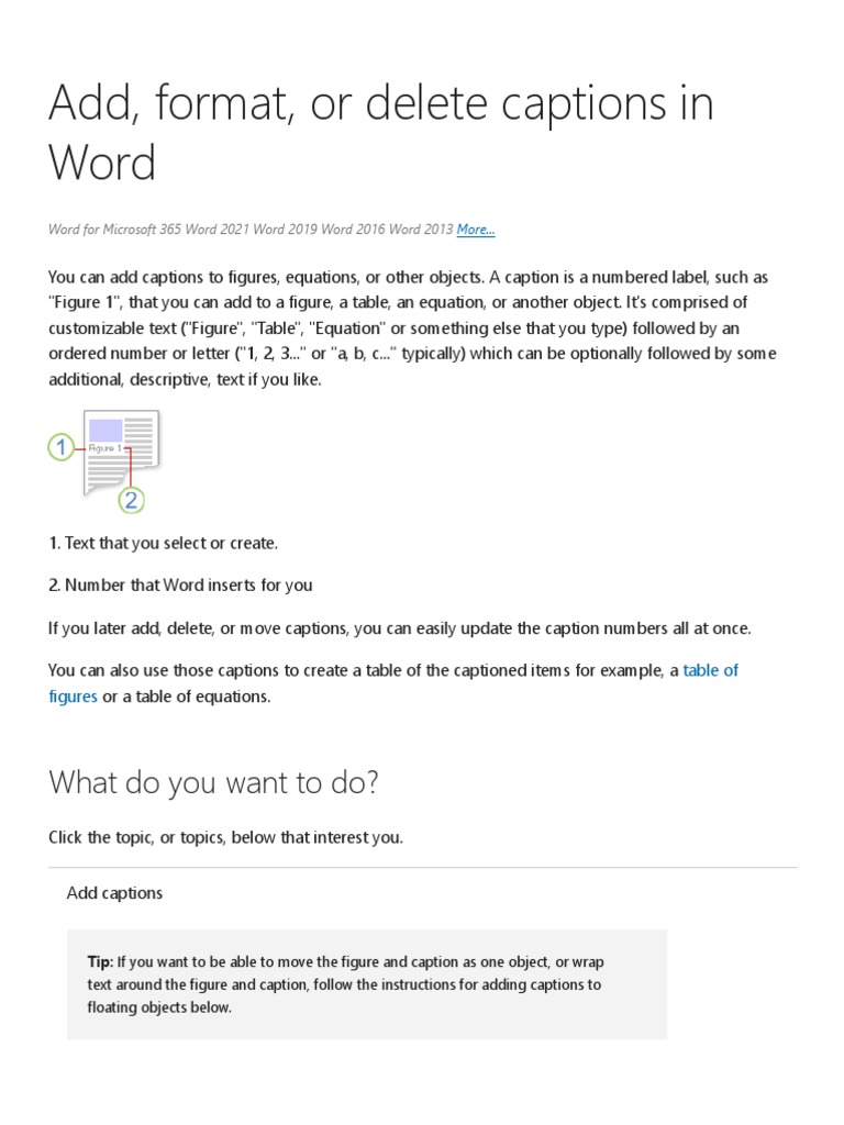 add-format-or-delete-captions-in-word-pdf-text-computer-science