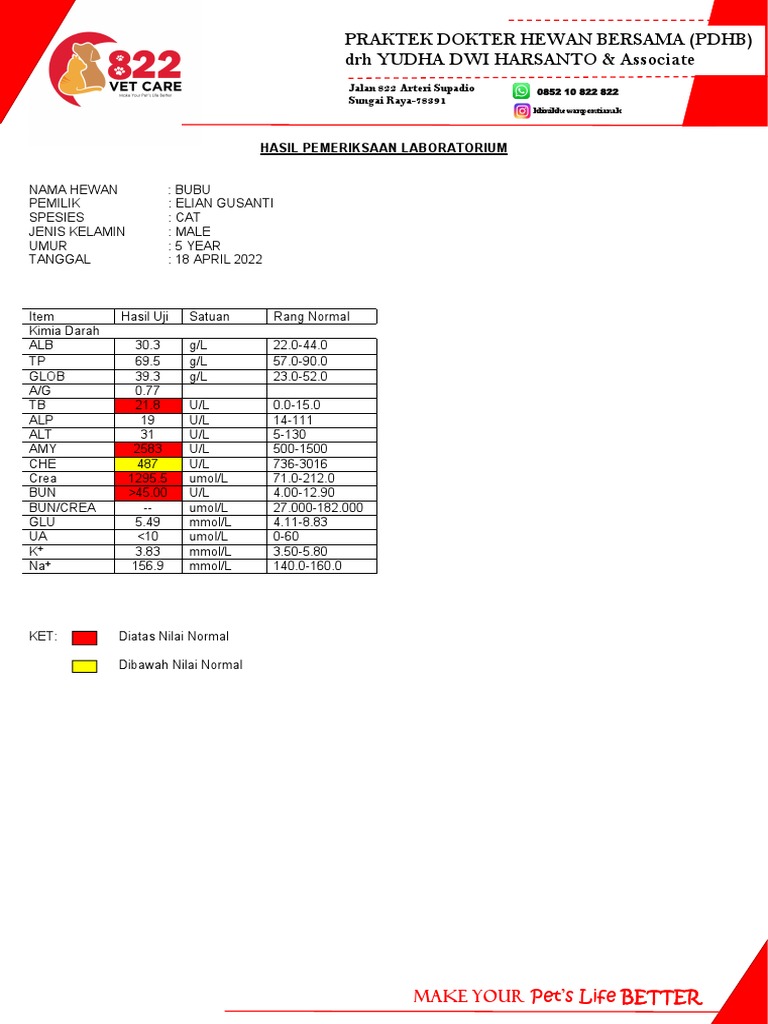 HSL Lab Bubu (Cat) | PDF