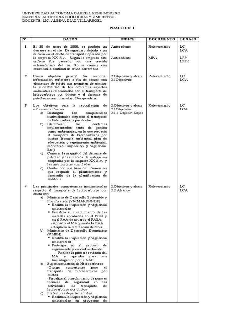 Prac1 Procedim | PDF | Auditoría | Evaluación