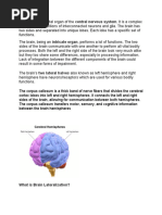 Survival Difficulty Class Guide - The Backrooms | PDF