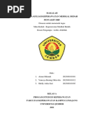 LP Hiperemesis - Gravidarum | PDF