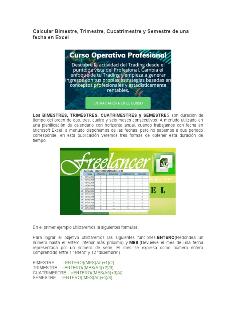 Bimestre, Trimestre, Semestre | PDF | Microsoft Excel | Software