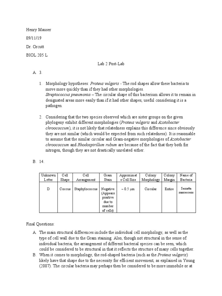 Biol 205 Lab 2 Post Lab Download Free Pdf Bacteria Cell Membrane