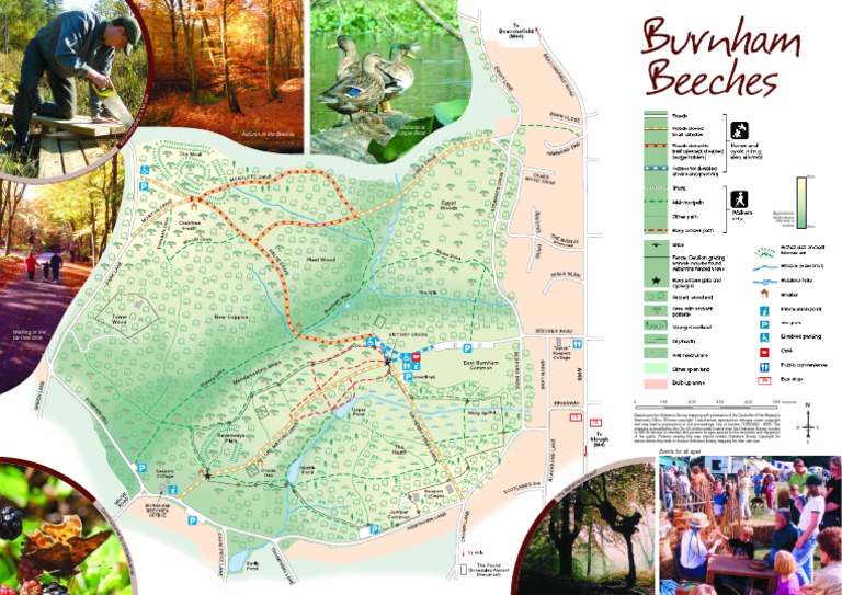 Burnham Beeches Map | PDF