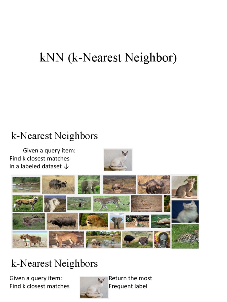 Part A 3. KNN Classification | PDF | Applied Mathematics | Algorithms Part A 3. KNN Classification | PDF | Applied Mathematics | Algorithms