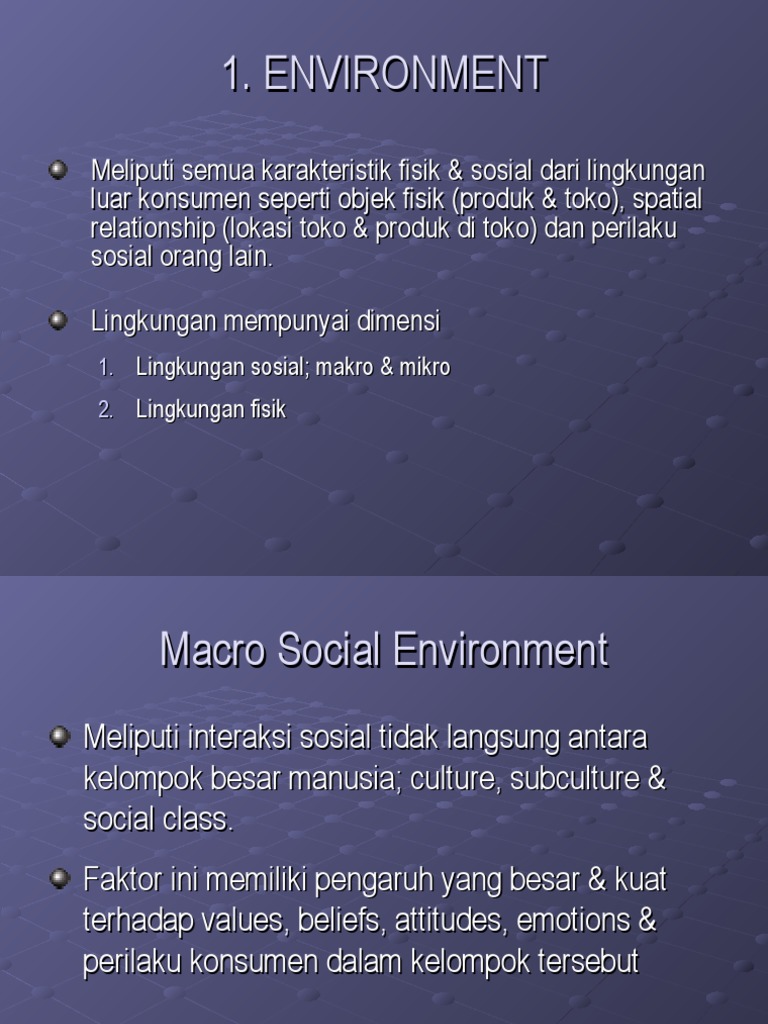 Budaya Perilaku Konsumen | PDF