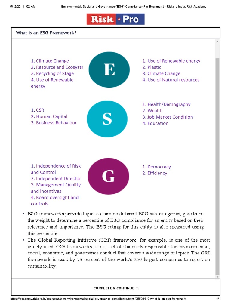 What Is An ESG Framework?: Complete & Continue | PDF