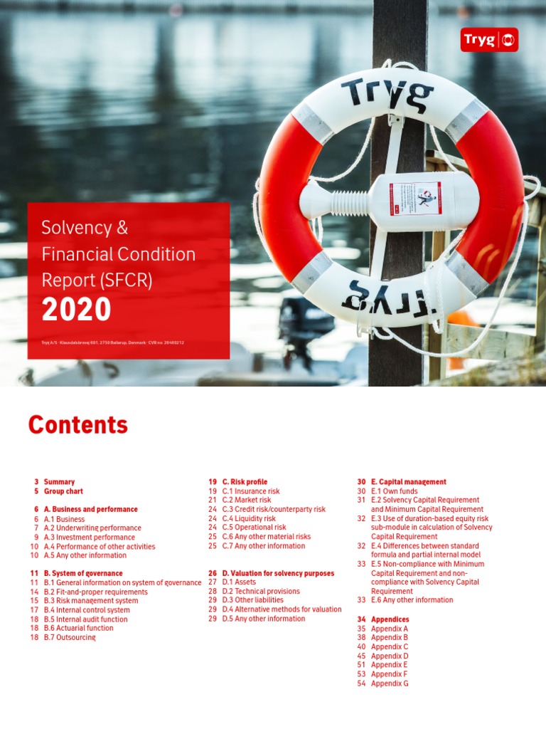 Solvency Financial Condition Report 2020 | PDF | Insurance | Reinsurance