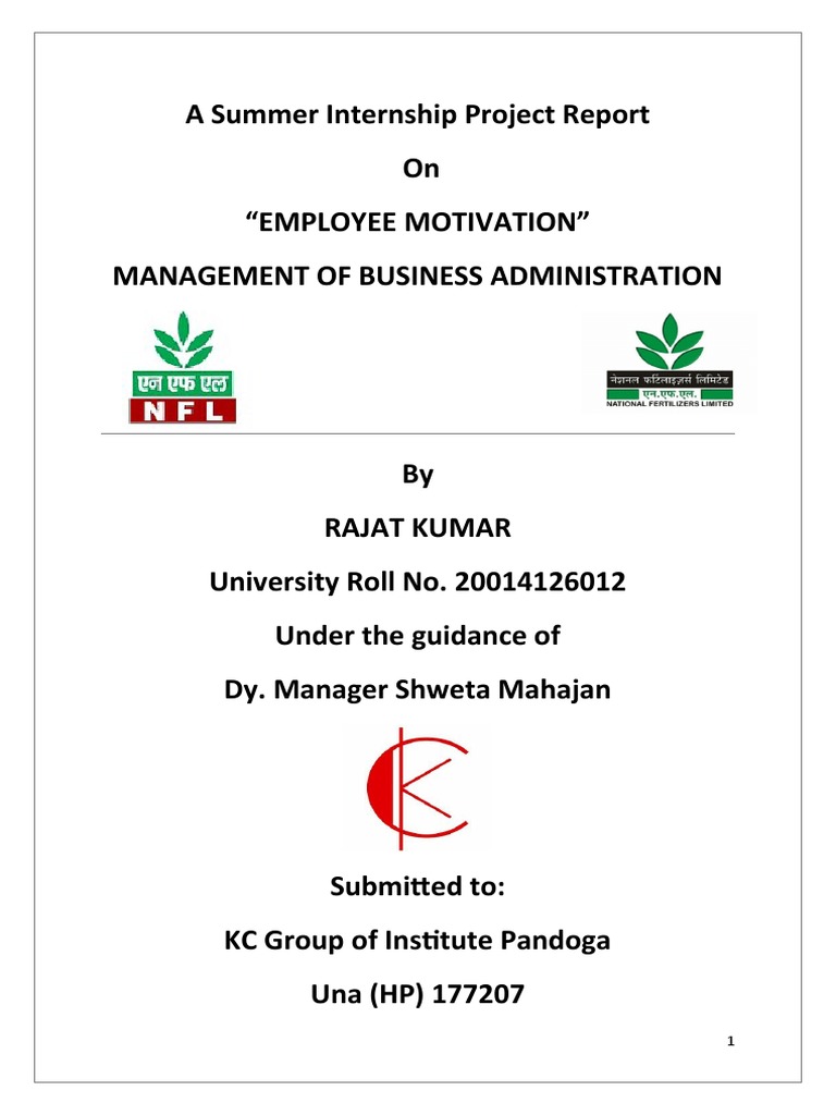 Rajat Employee Motivation Project Report | PDF | Motivation | Motivational