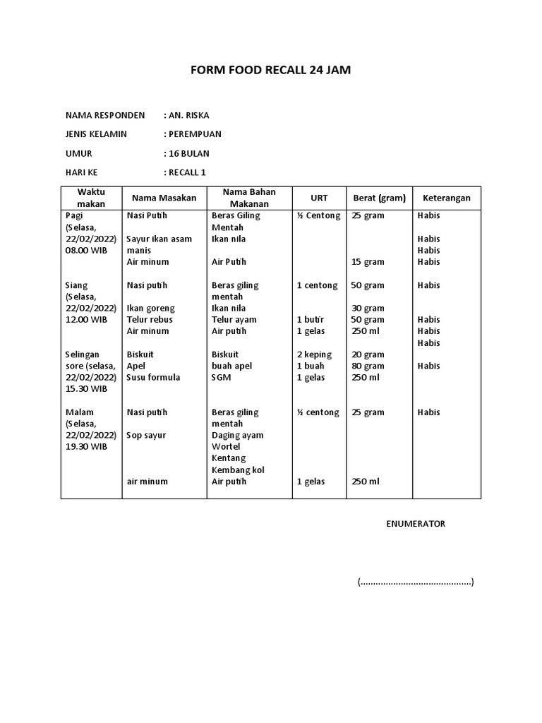 Form Food Recall 24 Jam | PDF