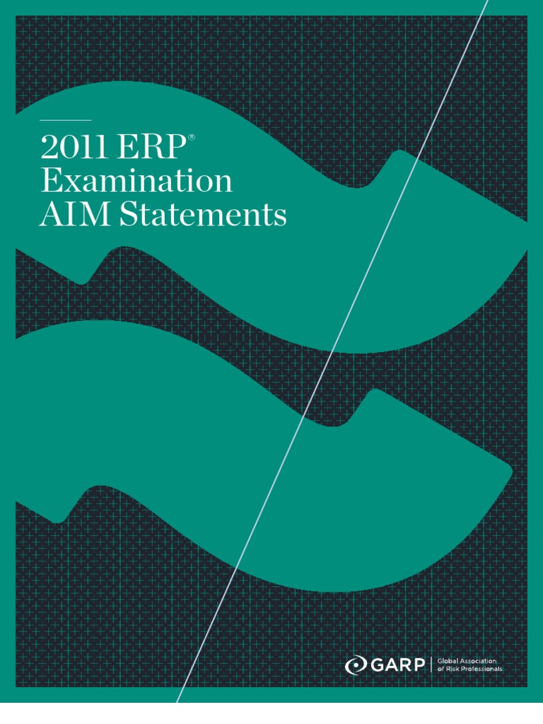 2011 Erp Aim Statements | PDF | Technology & Engineering