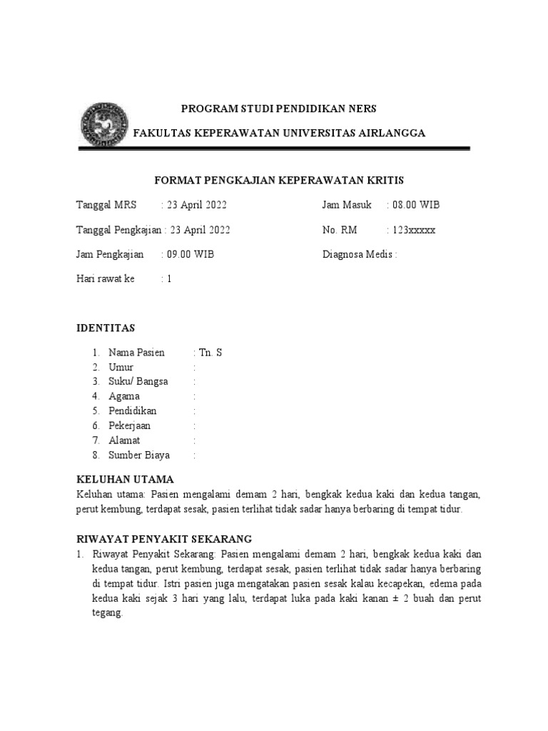 Form Pengkajian Kritis Profesi | PDF
