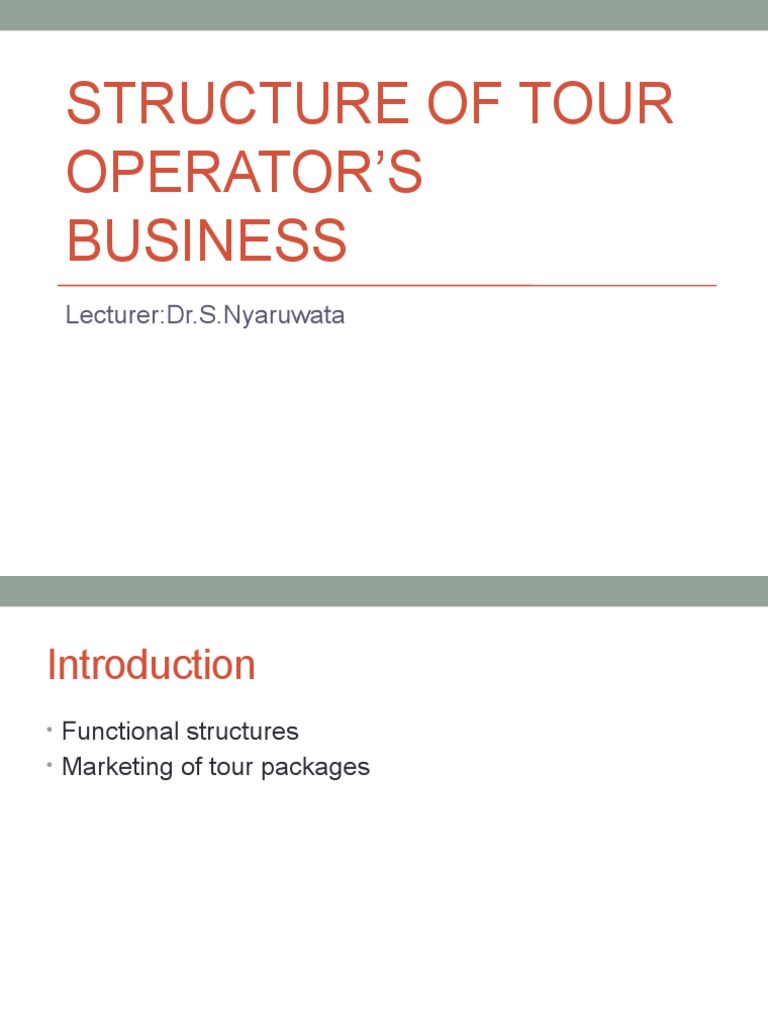 Structure of Tour Operator's Business | PDF | Marketing | Business