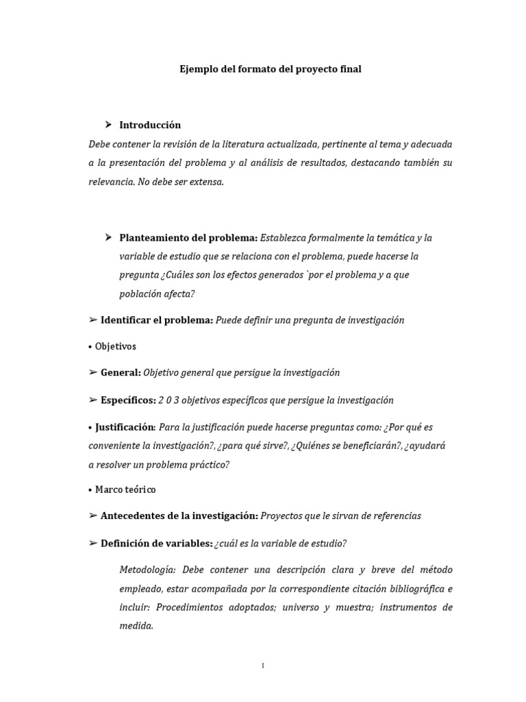 Ejemplo Del Formato Del Proyecto Final | PDF