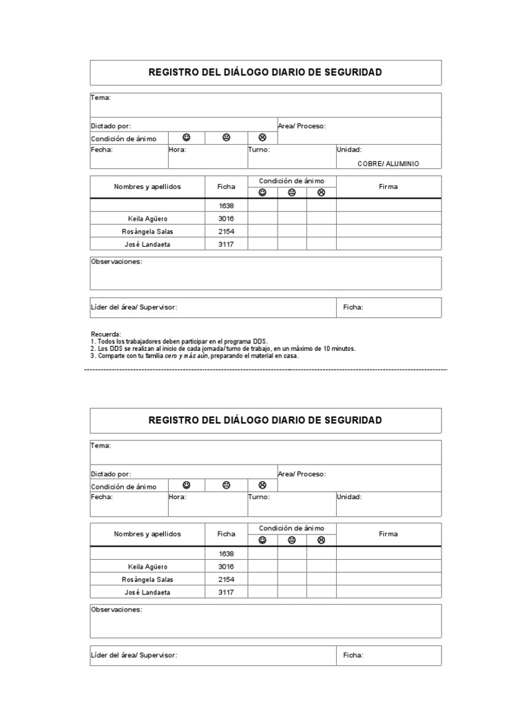 Formato Diálogo Diario de Seguridad | PDF