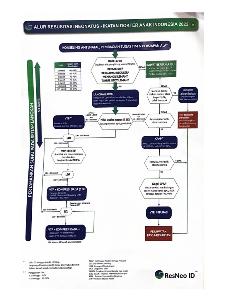 Alur Resusitasi Neonatus Ikatan Dokter Anak Indonesia 2022 | PDF