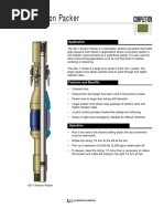 RTTS Packer: Technical Data Sheet | PDF | Pipe (Fluid Conveyance) | Valve