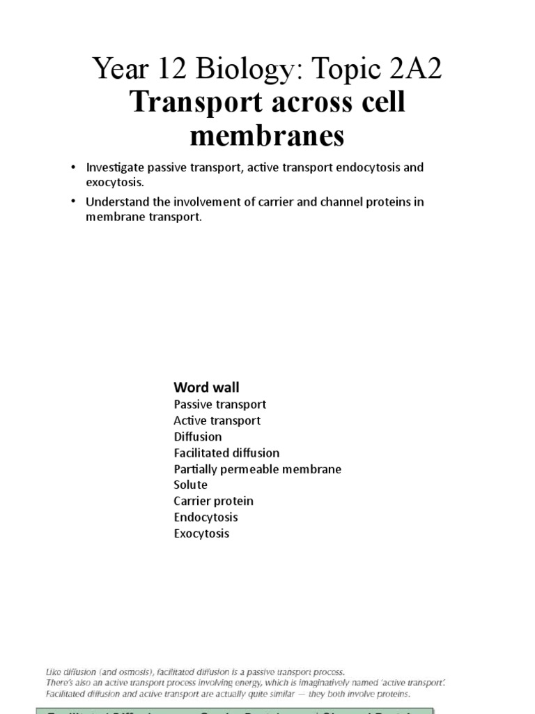 Year 12 Biology 2A Transport Across Cell Membranes | PDF