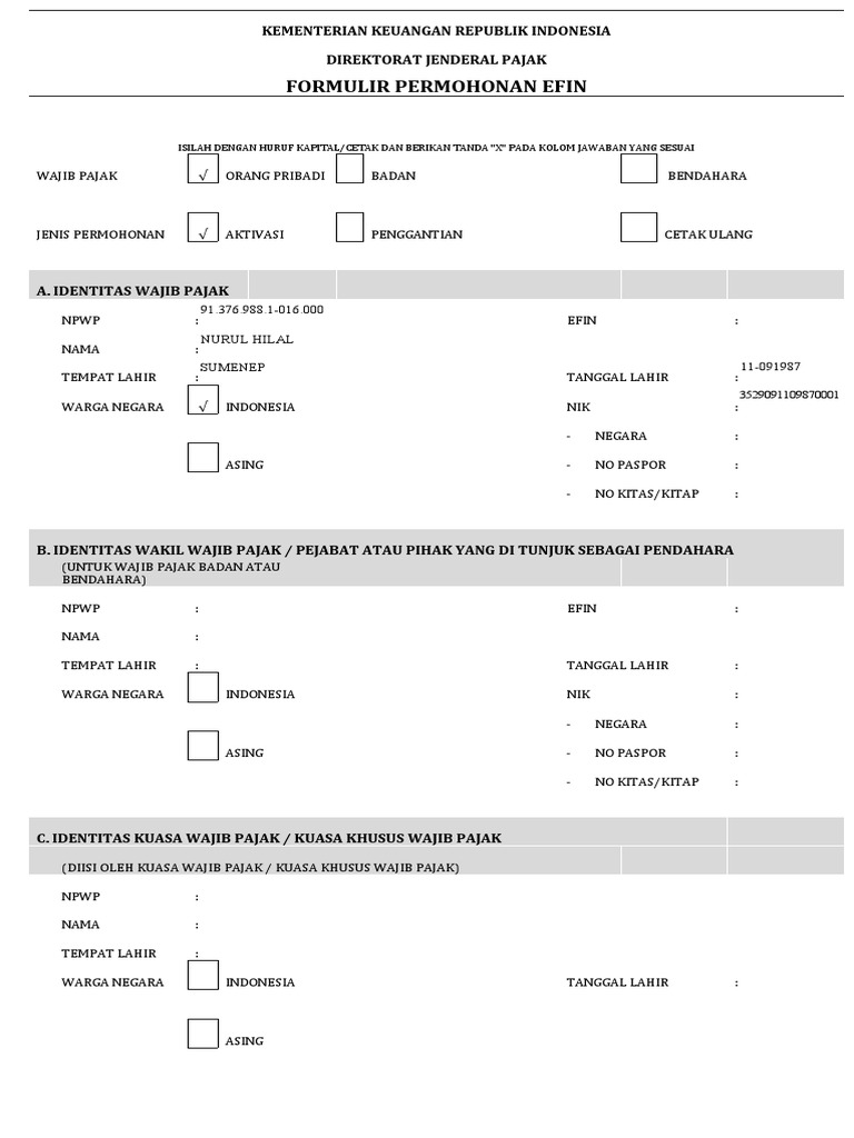 Formulir Efin Word | PDF