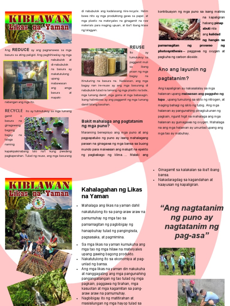 Brochure Travelogue Grade 4 | PDF