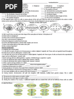 Cellular - Transport - Study - Guide - Answer Key | PDF | Osmosis ...