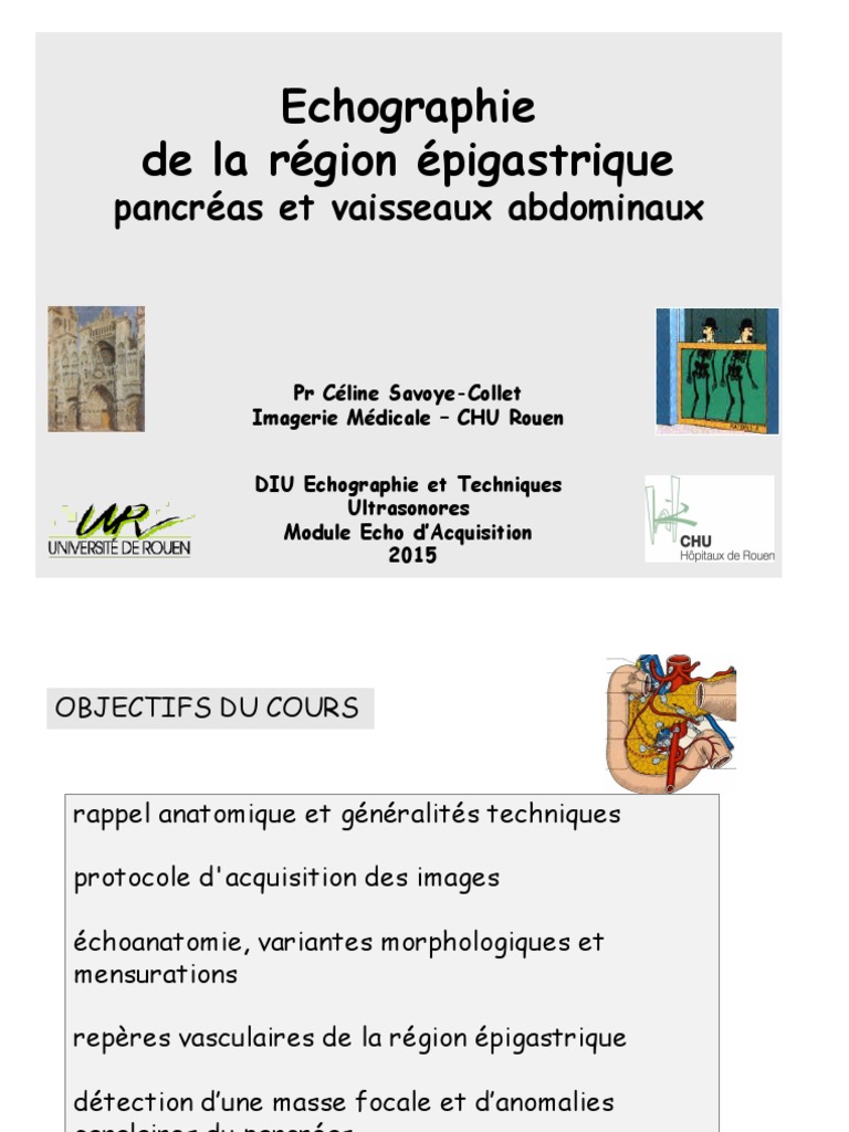 Echographie de La Région Épigastrique Pancréas Et Vaisseaux Abdominaux ...