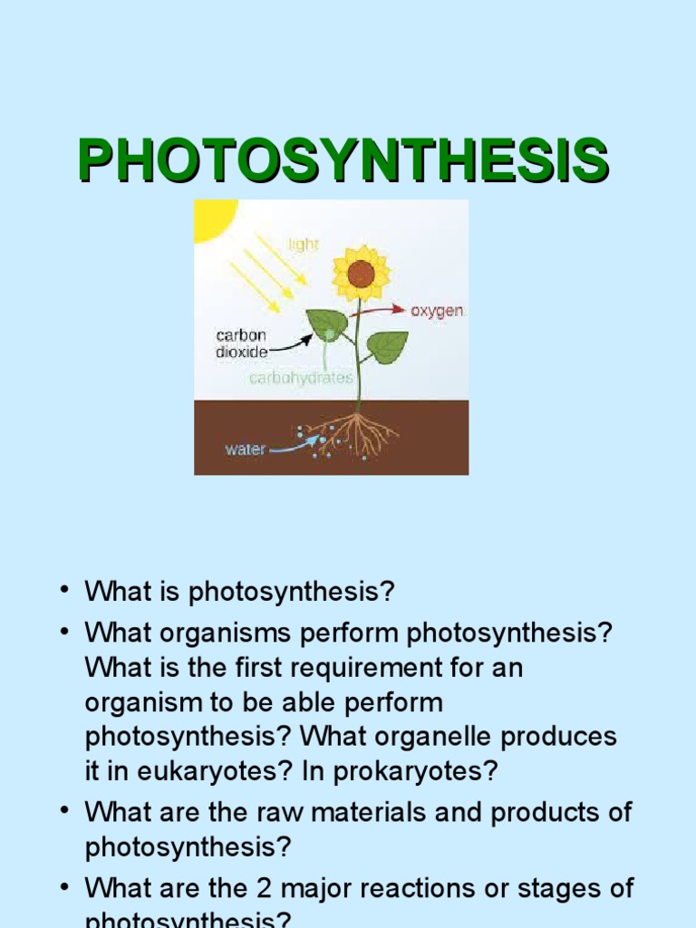 Photosynthesis 2 | PDF | Science & Mathematics