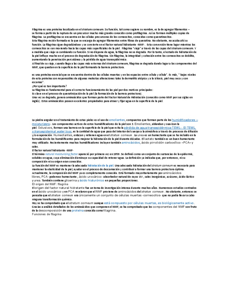 La importancia de la filagrina: una proteína clave en la formación y ...