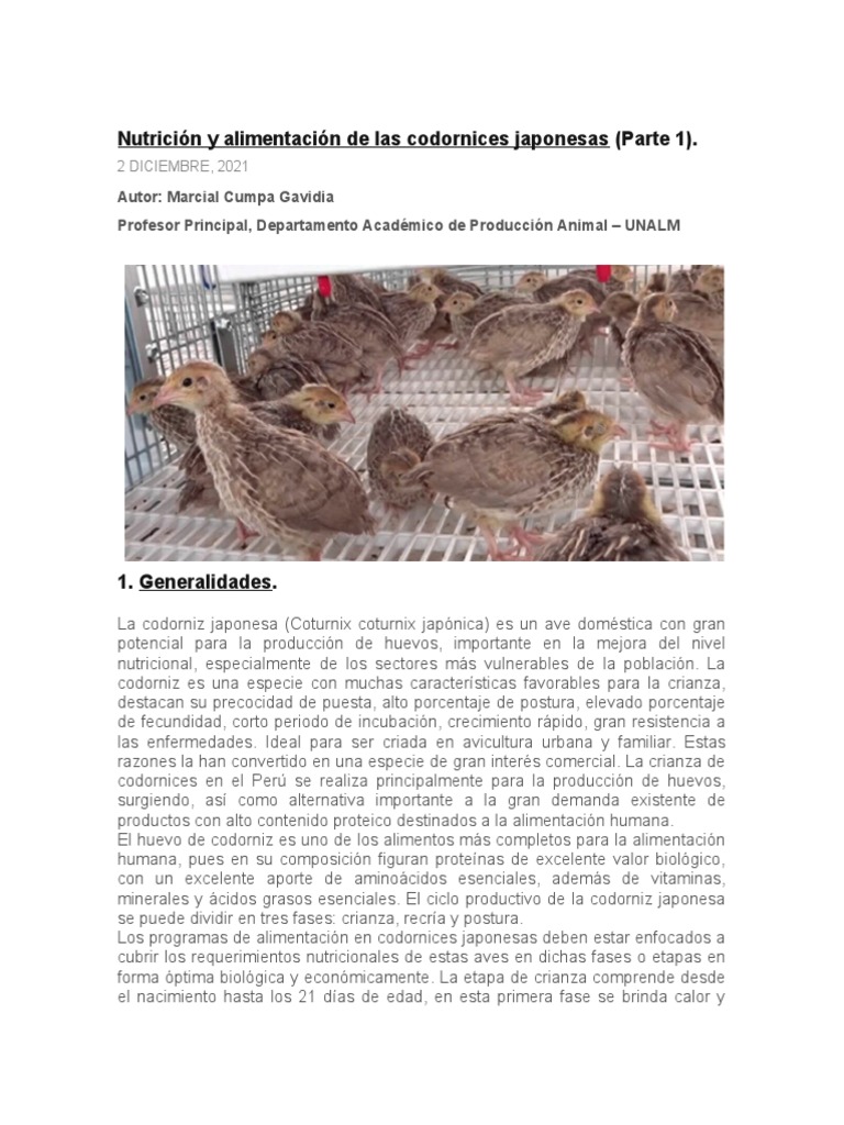 Alimentación de Codornices Japonesas | PDF | Dieta | Nutrición