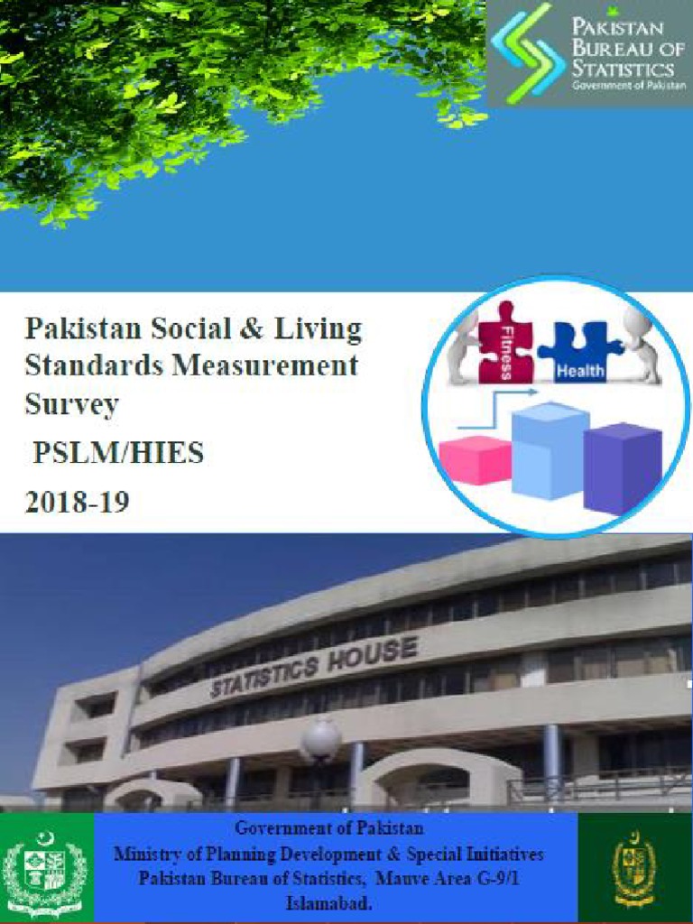Key Findings Report of PLSM Hies 2018 19 | PDF | Infant Mortality | Mortality Rate