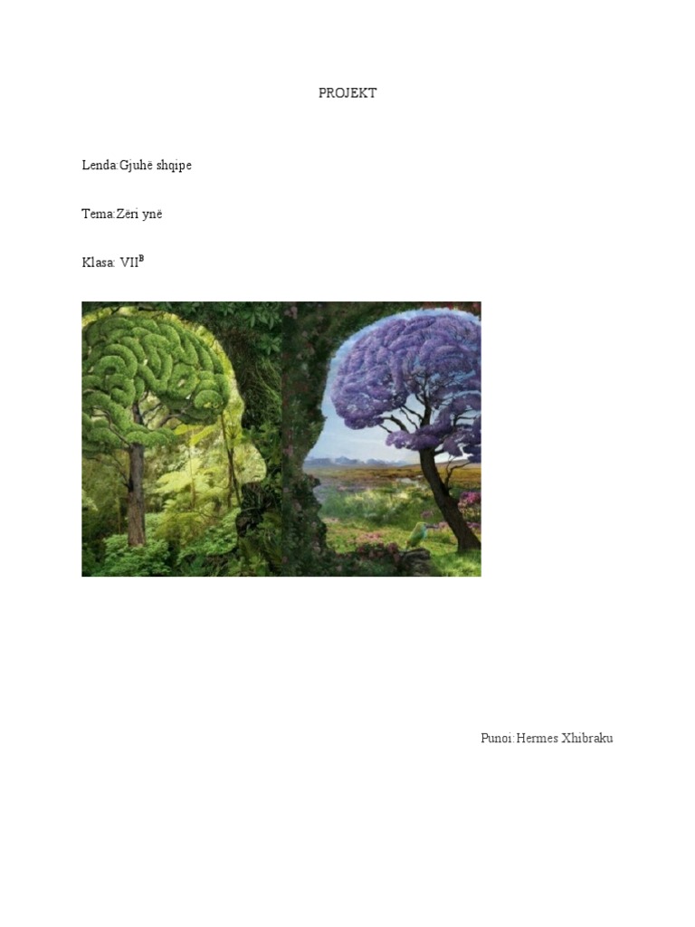 Projekt Gjuh Shqipe | PDF